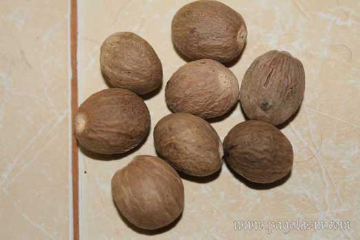 Nutmeg ABCD Grade